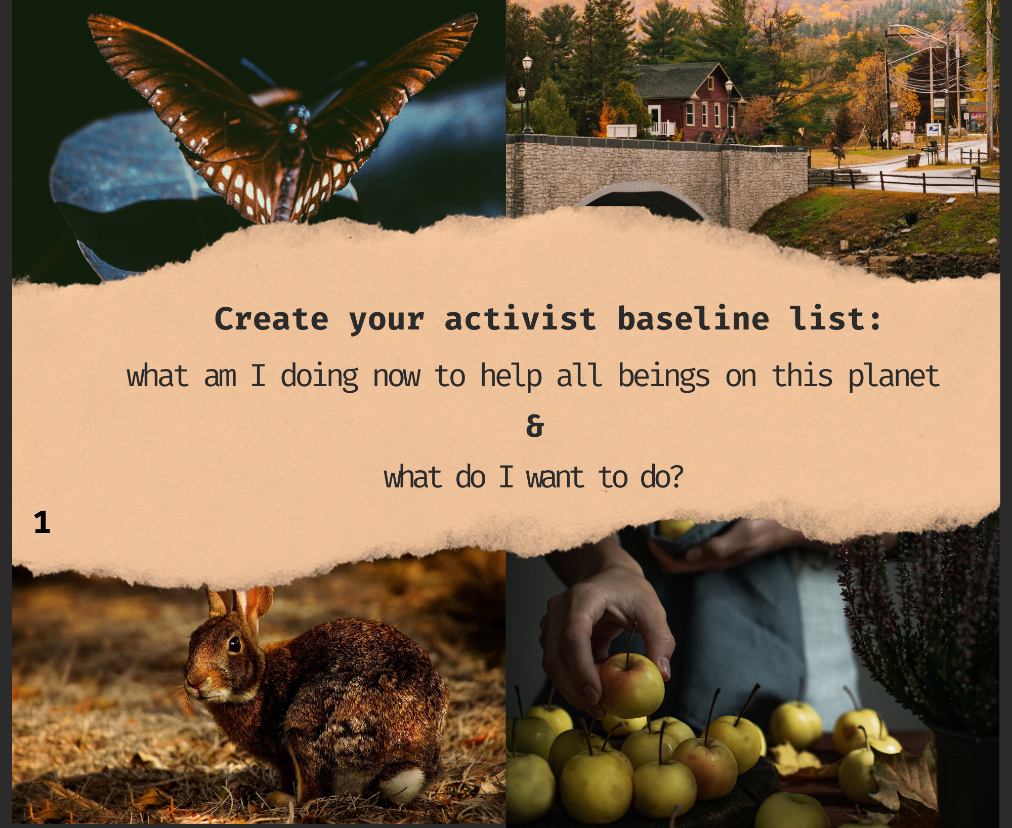 Four Steps to a Resilient Life - The Resilient Activist
